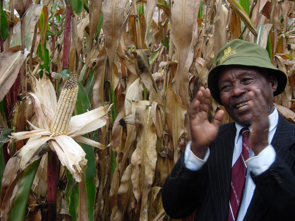 From Smallholdings to Success: Inspiring Stories of Kenyan Farmers ...
